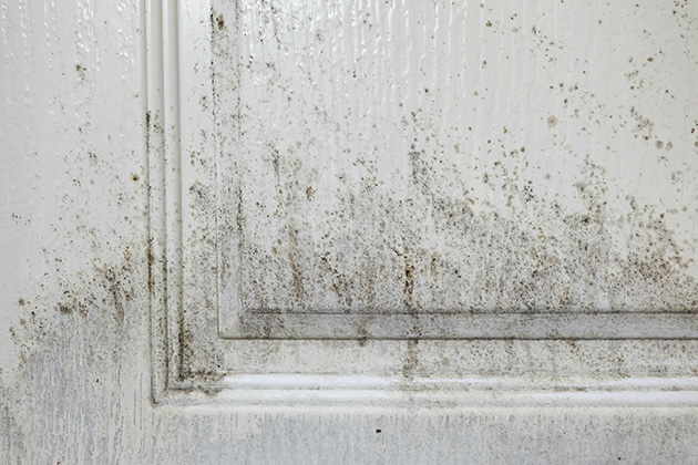 mildew bathroom
