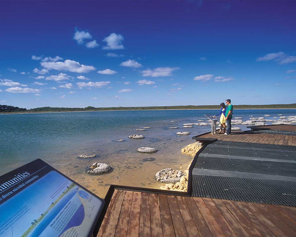 RAC Cervantes Holiday Park