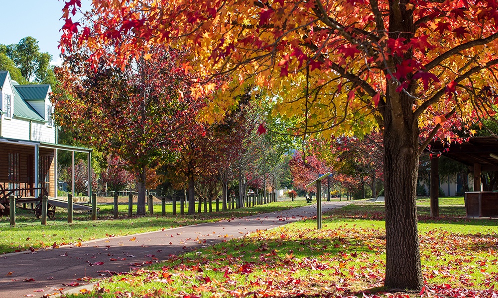 Ultimate guide to Balingup | RAC WA