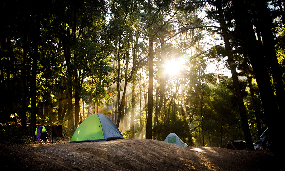 Camping essentials: Everything you need for your first time