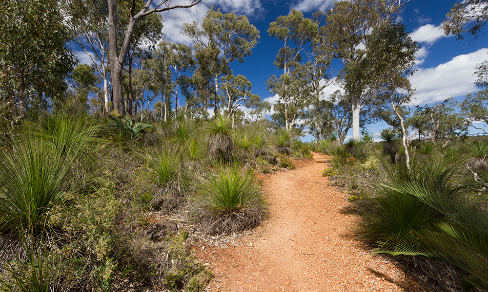 Ultimate guide to Kalamunda | RAC WA