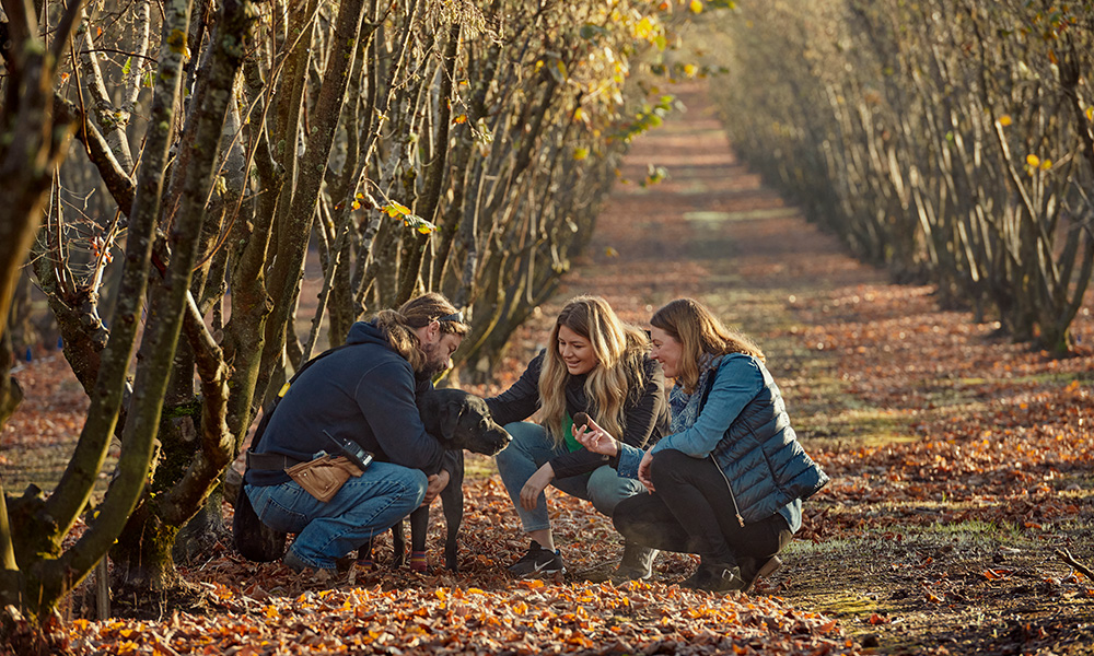 Ultimate guide to Manjimup | RAC WA
