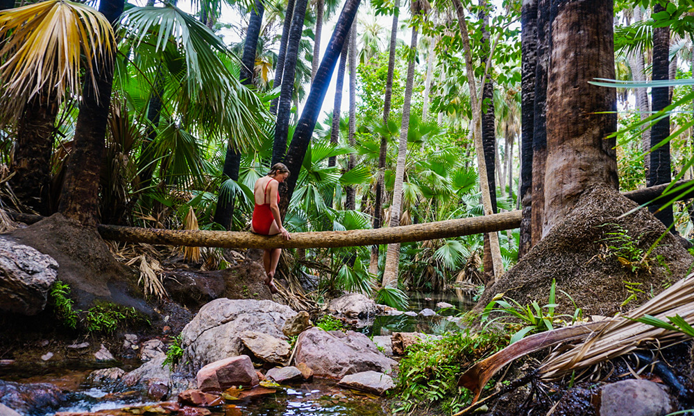 Ultimate Guide to El Questro Wilderness Park | RAC WA