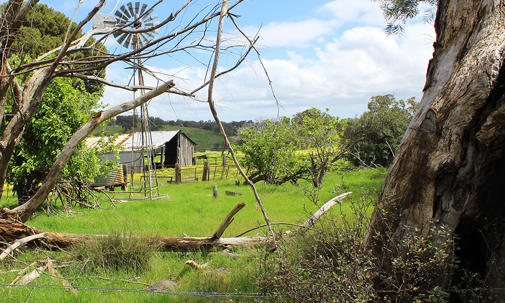 Ultimate guide to Harvey | RAC WA