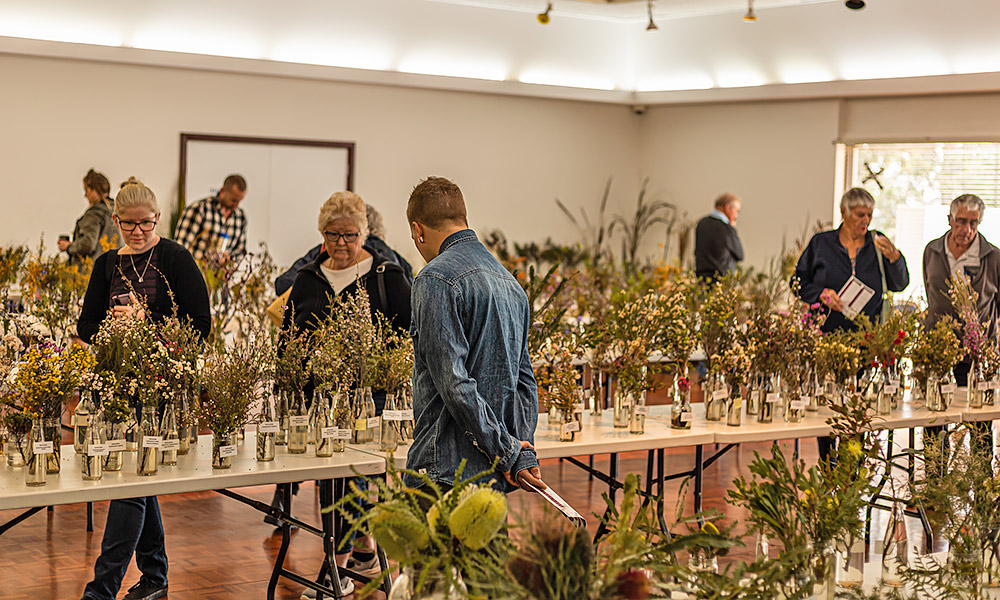 Spring Wildflower Festivals in WA | RAC WA