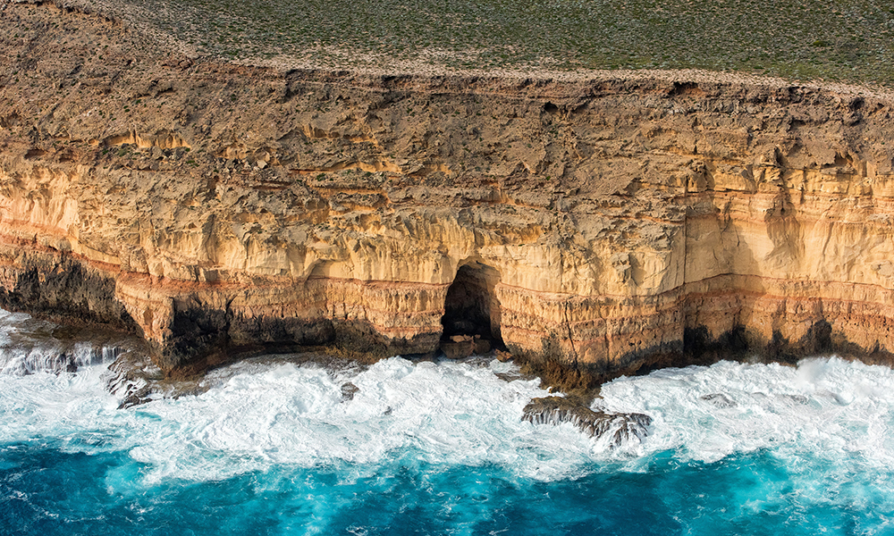 Ultimate guide to Shark Bay | RAC WA