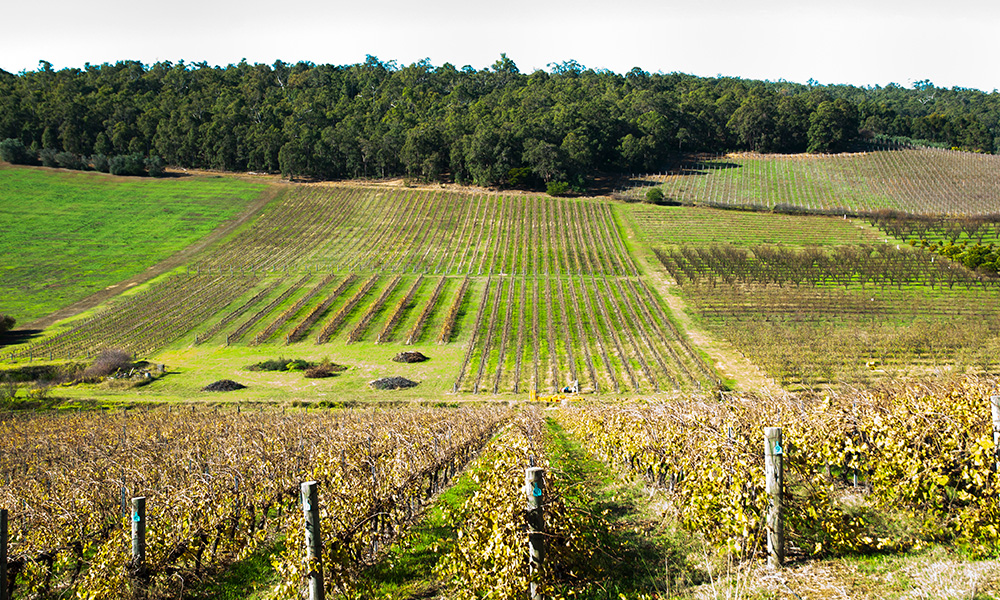 Ultimate guide to the Bickley Valley | RAC WA