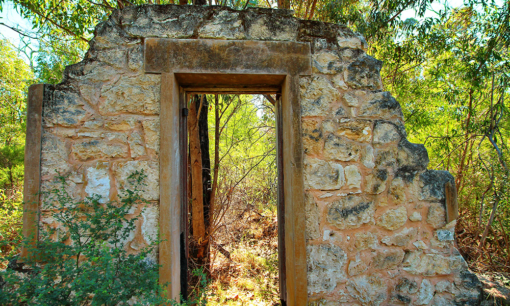 Ultimate guide to Yanchep | RAC WA